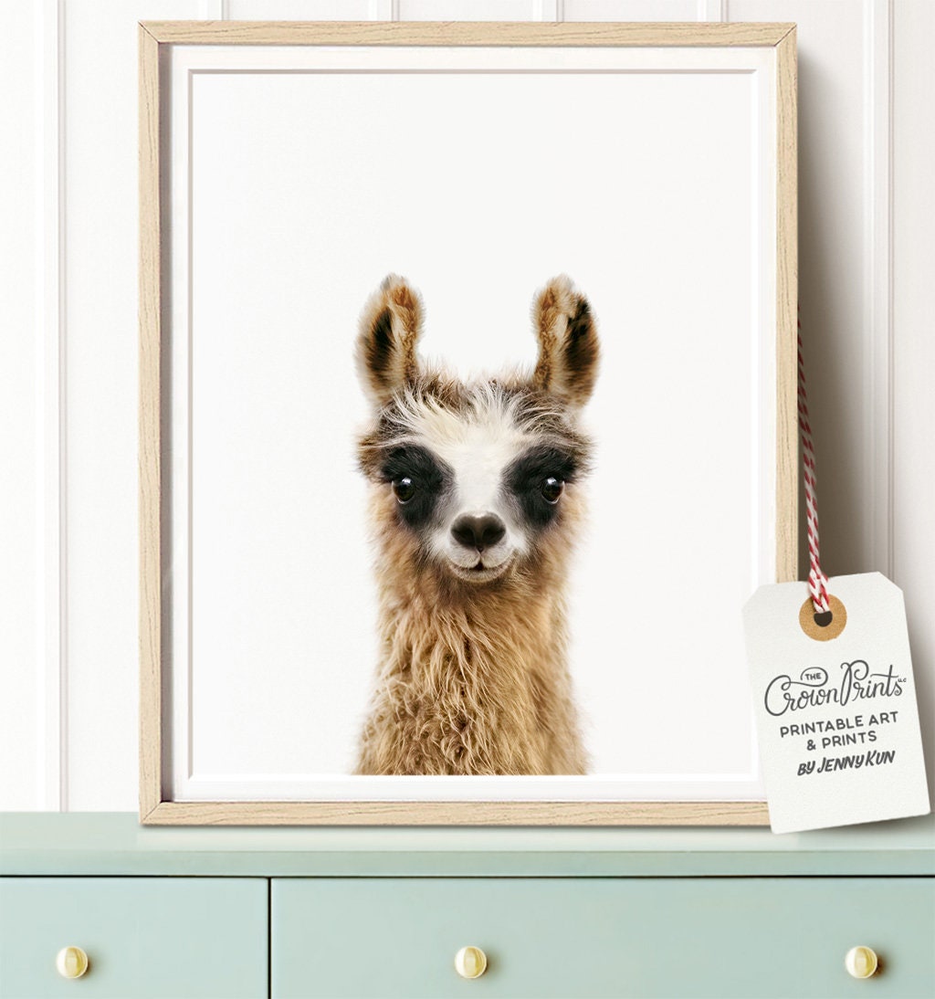 Baby Llama Print Nursery Wall Decor Farm Animal Prints the | Etsy