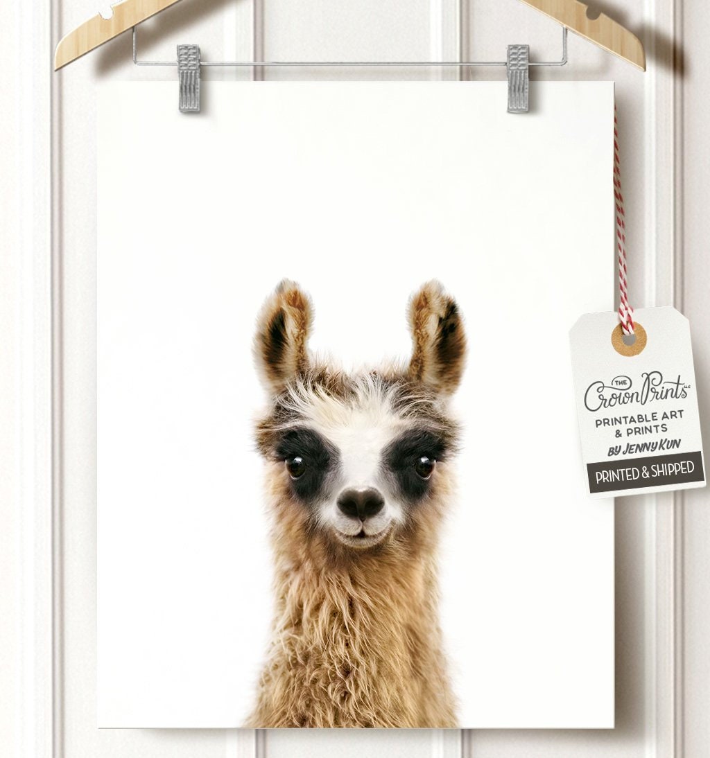 Baby Llama Print Nursery Wall Decor Farm Animal Prints the | Etsy