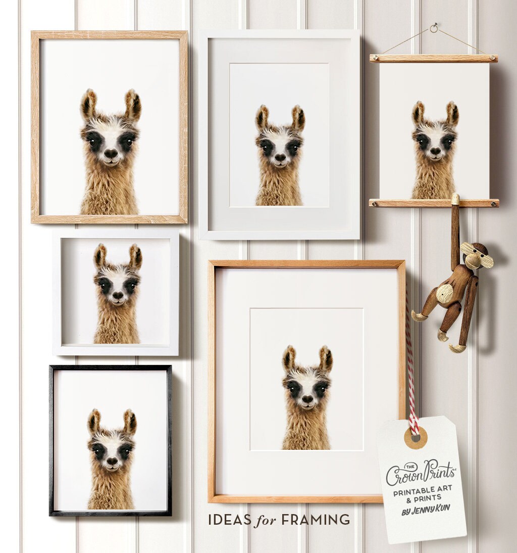 Baby Llama Print Nursery Wall Decor Farm Animal Prints the | Etsy