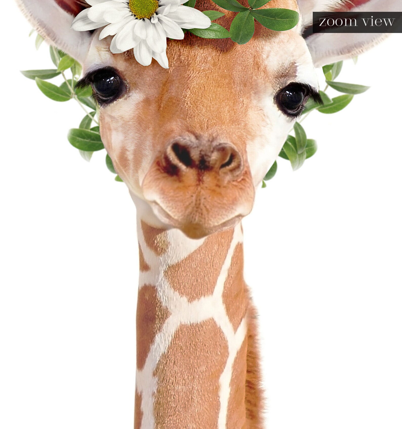 Animals With Flower Crowns, INSTANT DOWNLOAD, Giraffe Art Print, Crown ...