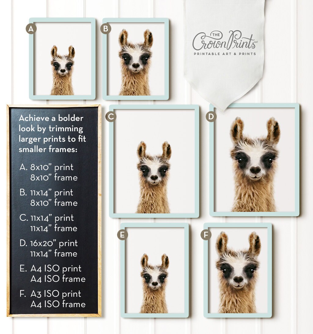 Baby Llama Print Nursery Wall Decor Farm Animal Prints the | Etsy