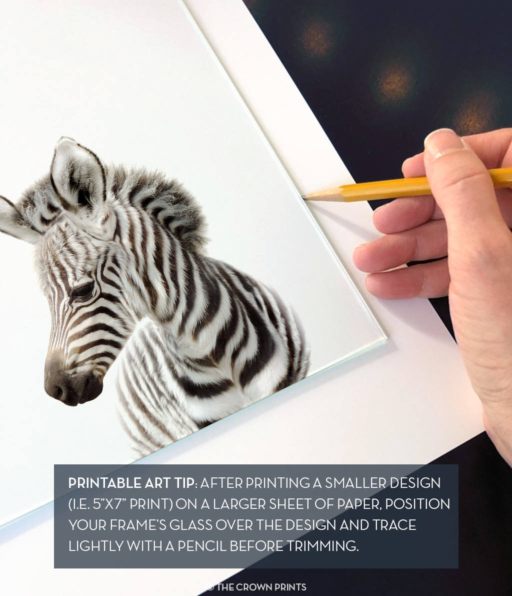 Baby animal prints PRINTABLE art Woodland animals Safari | Etsy