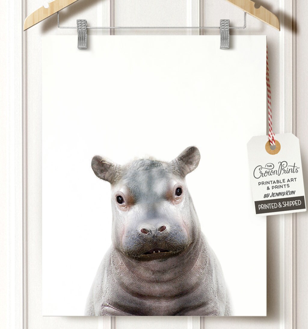Hippo Print Nursery Wall Art Gender Neutral Nursery Baby - Etsy