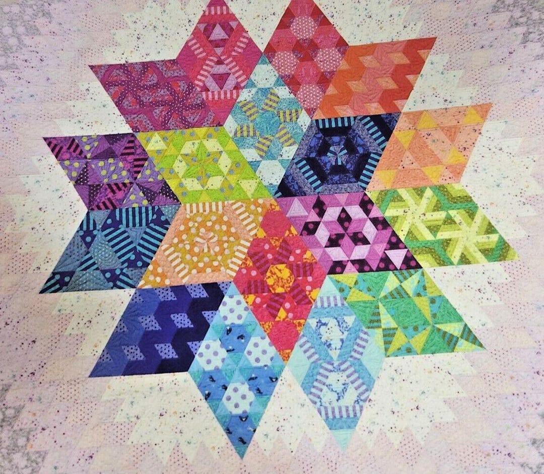 Tula Pink Nebula Quilt Kit Queen Size With Finishing Kit Block of the ...