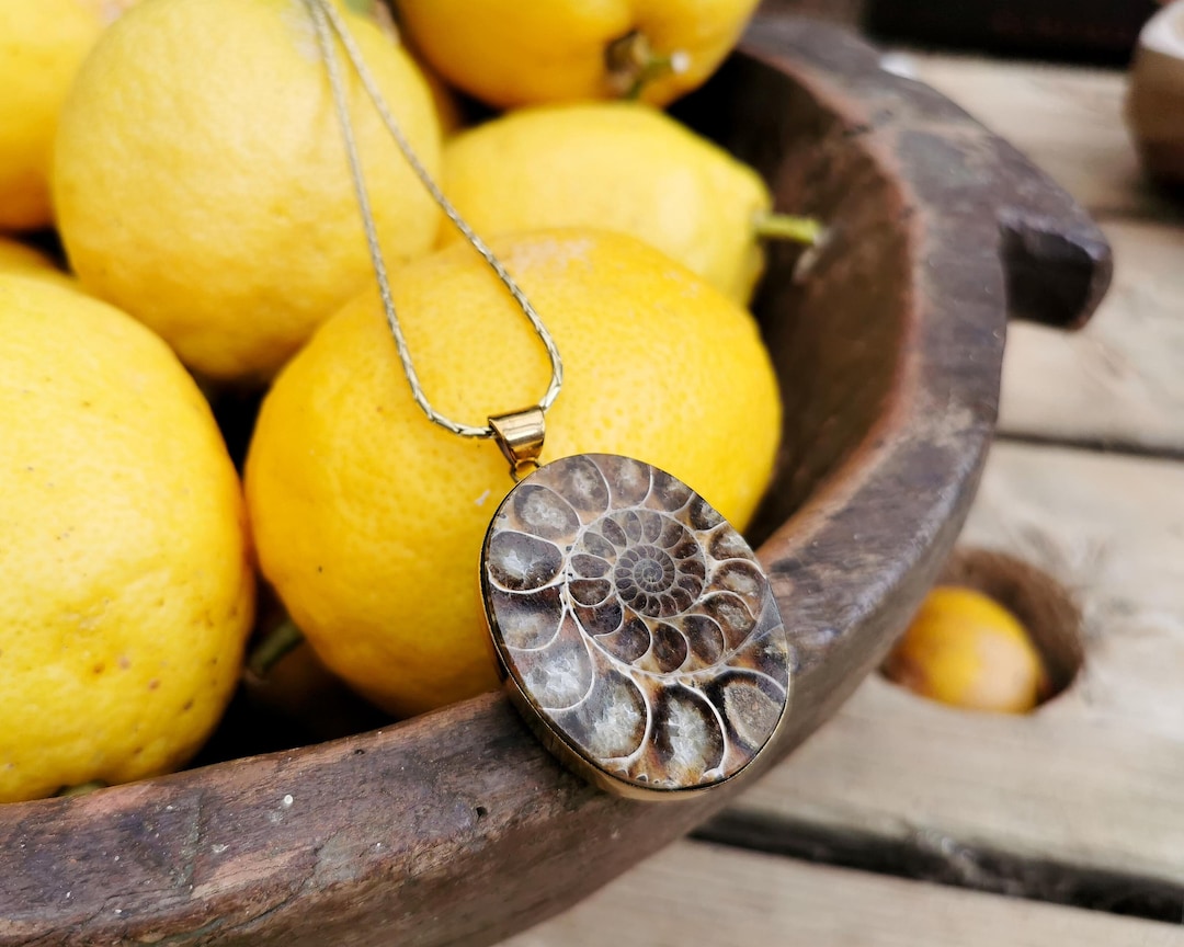 Ammonite Fossil Pendant Necklace - Paleo Shell Set in Gold Brass ...