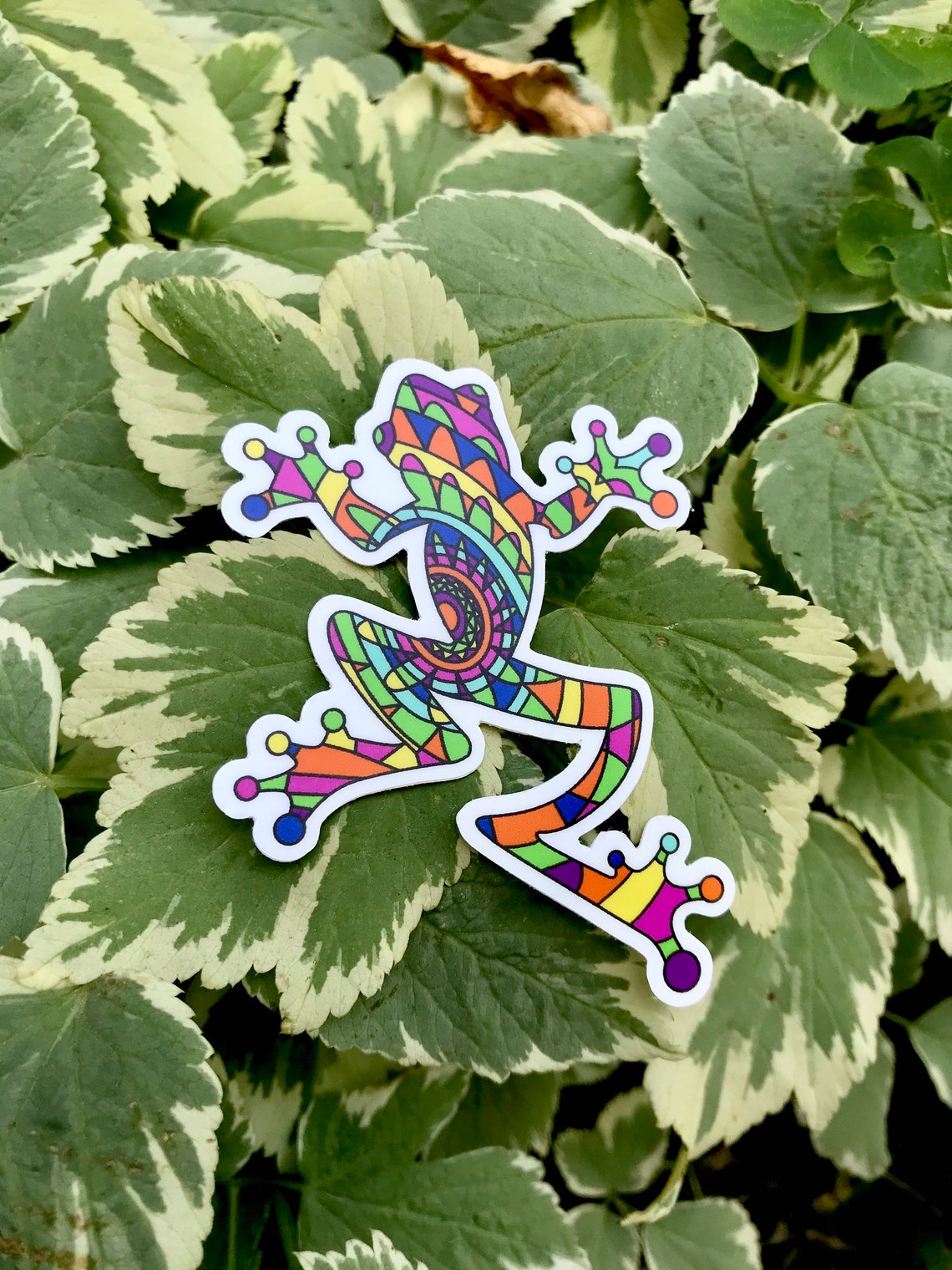 Electric Forest Psychedelic Tree Frog Sticker - Etsy