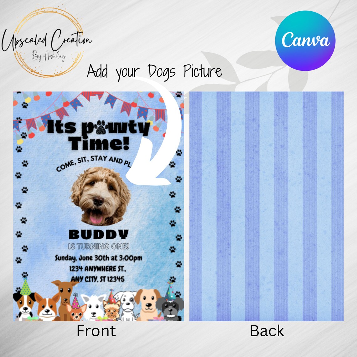 Pawty Time, Dog Party, Editable Template, Digital Download, Animated ...