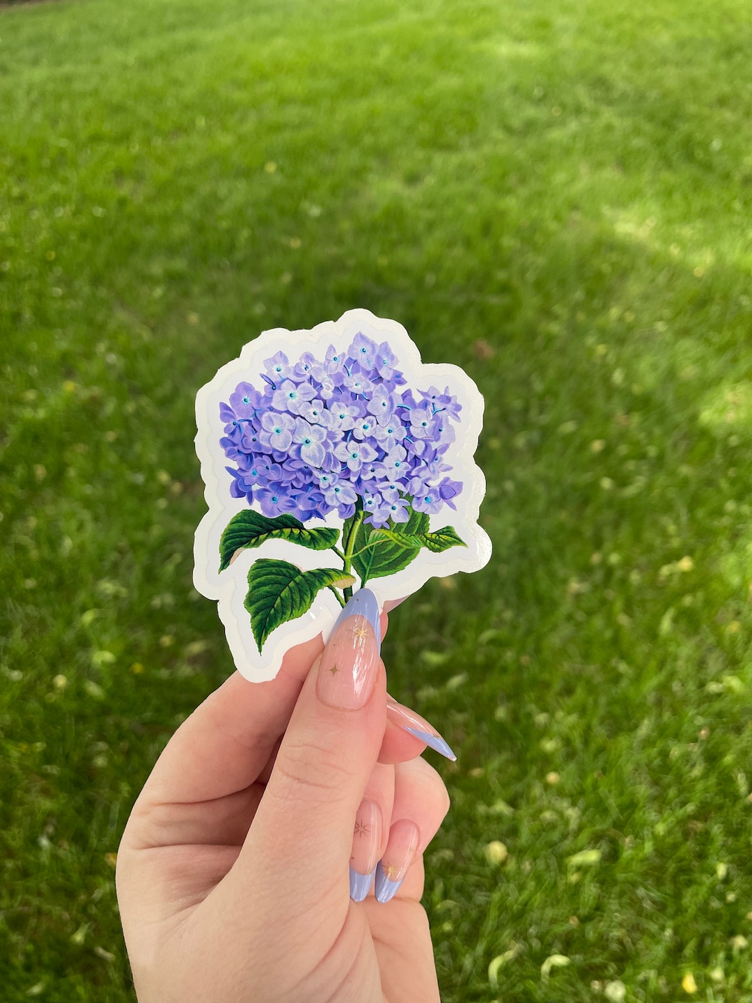 Violet Hydrangeas Sticker: Waterproof Vinyl Decal - Etsy