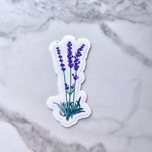 Lavender Sticker: Waterproof Vinyl, Vintage Floral Illustration - Etsy