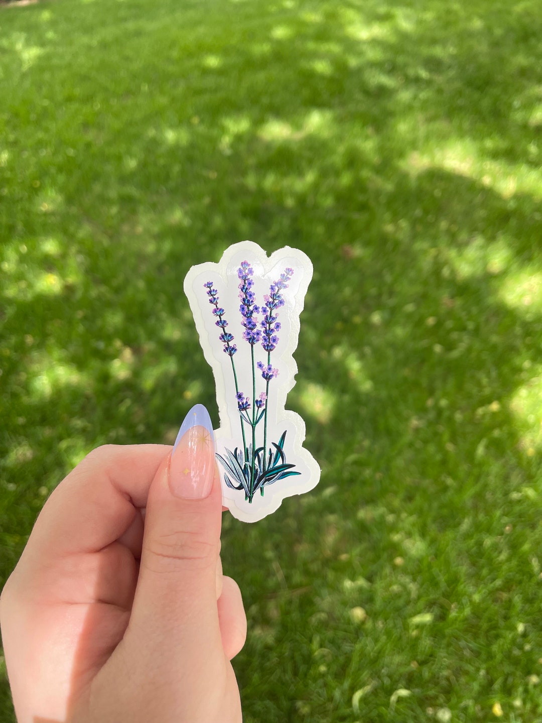 Lavender Sticker, Waterproof Vinyl Sticker, Flower Sticker - Etsy