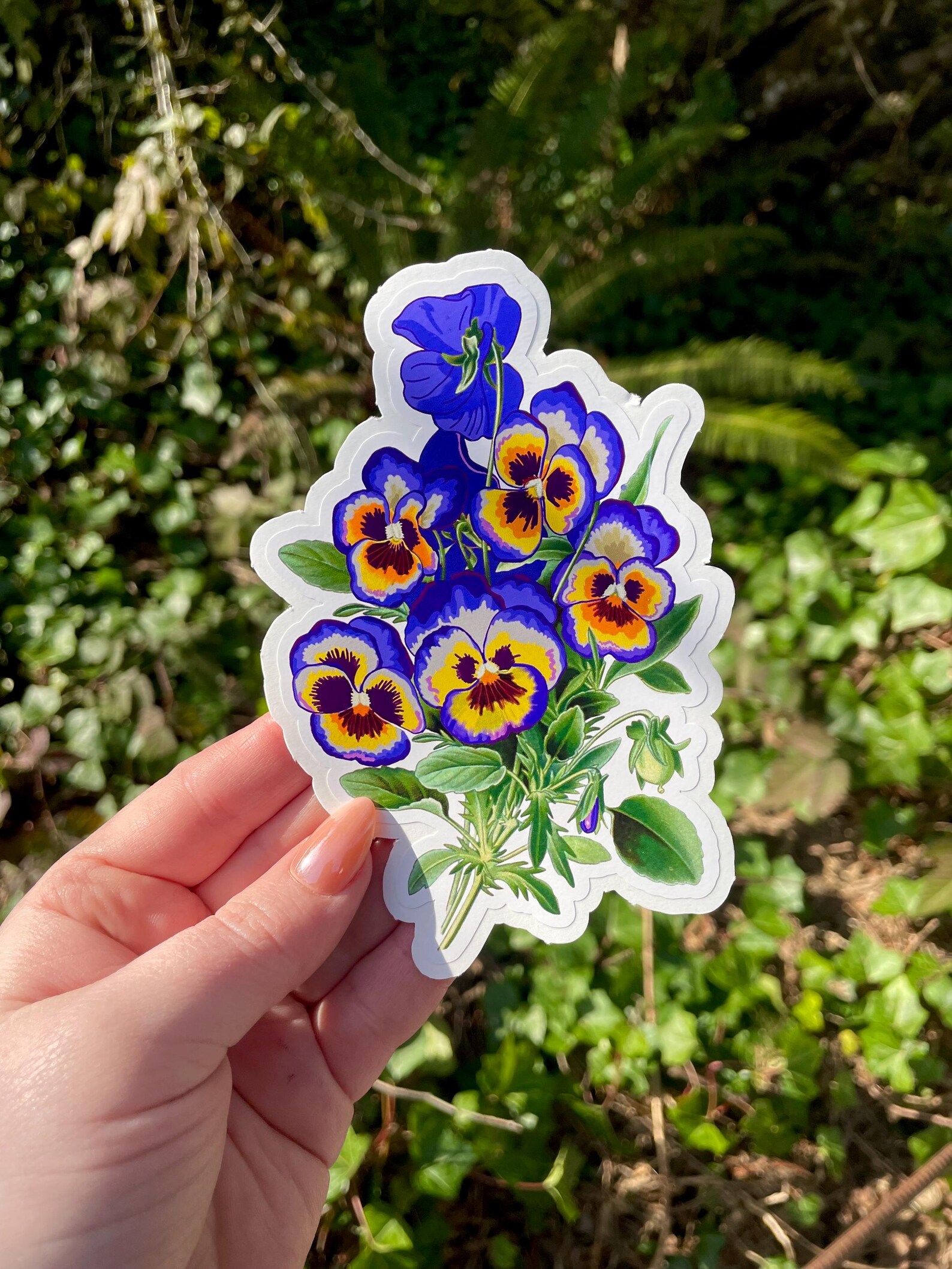 Purple and Yellow Pansy Sticker: Waterproof Vinyl Decal - Etsy