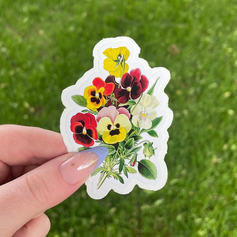Pansy Decals - Etsy