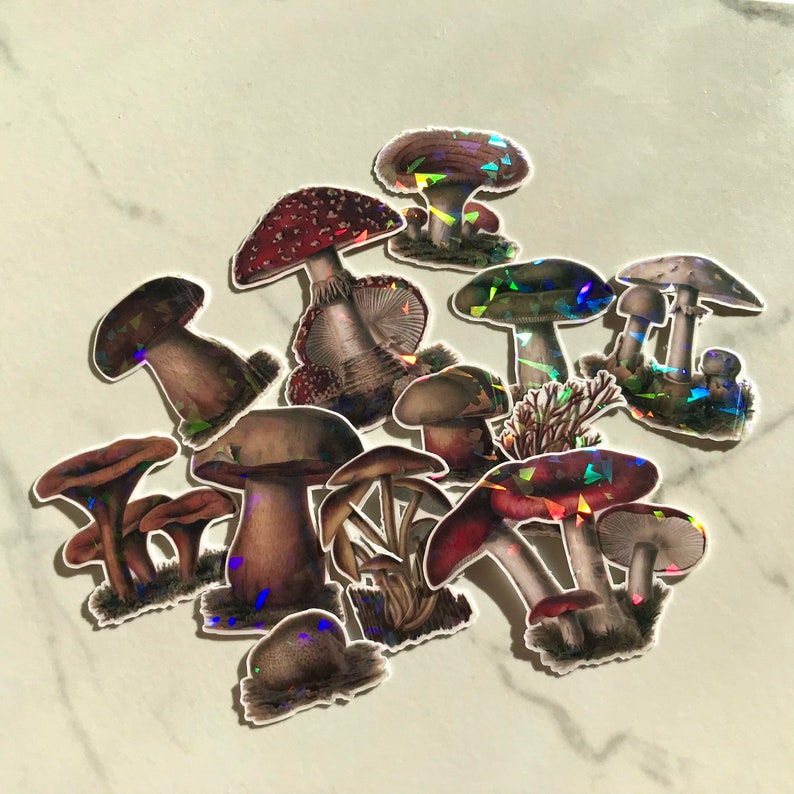 Holographic Mushroom Sticker Pack Waterproof Vinyl Stickers - Etsy
