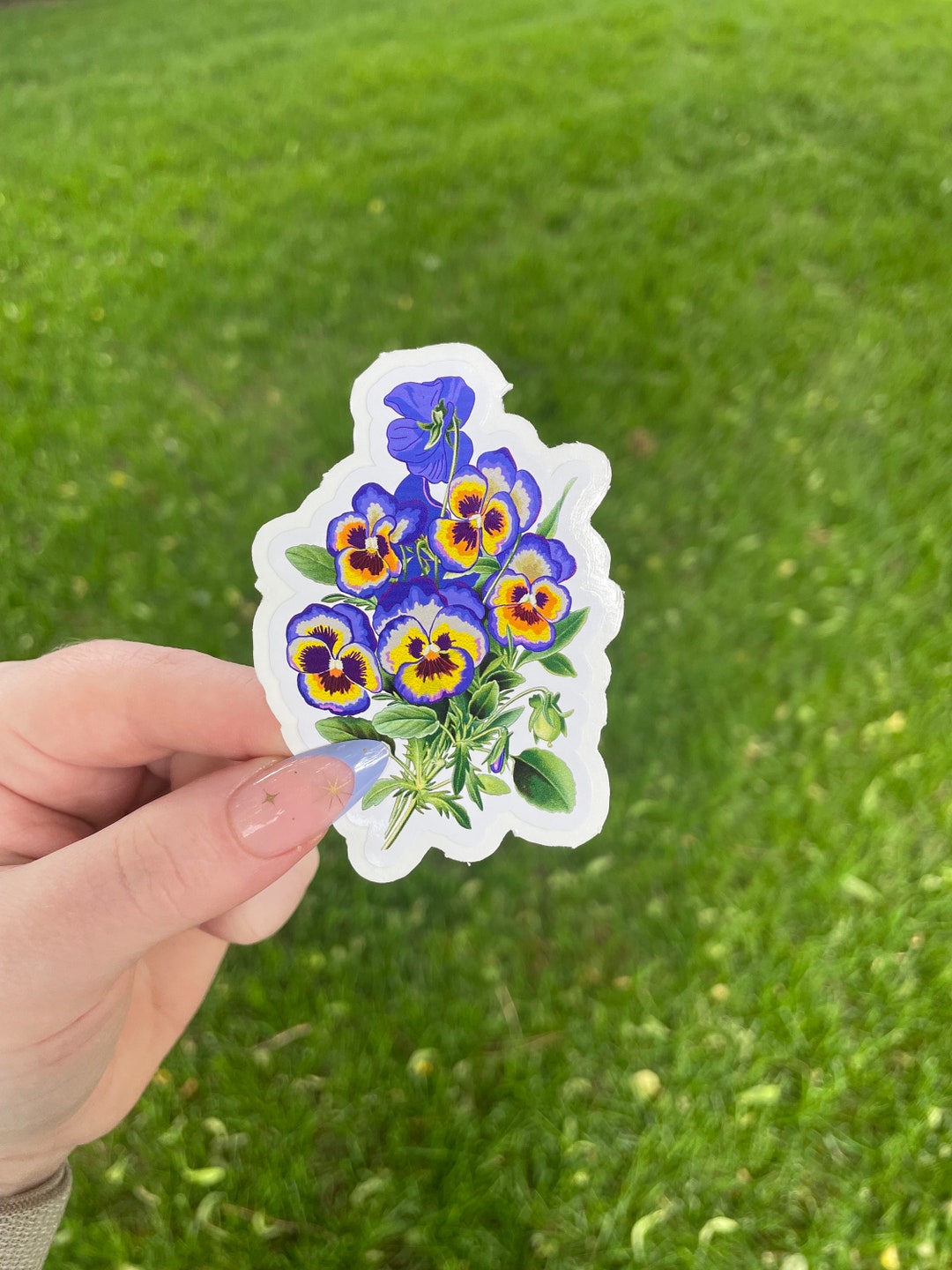 Purple and Yellow Pansy Sticker: Waterproof Vinyl Decal - Etsy