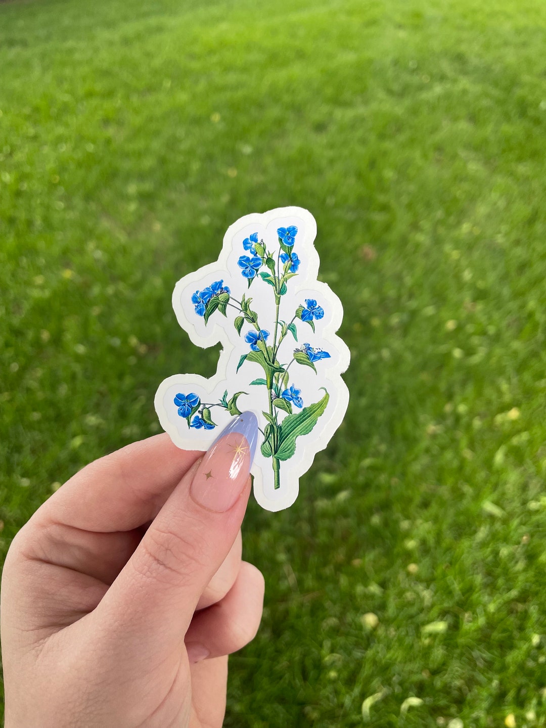 Blue Flowers Sticker, Waterproof Vinyl Sticker, Flower Sticker - Etsy