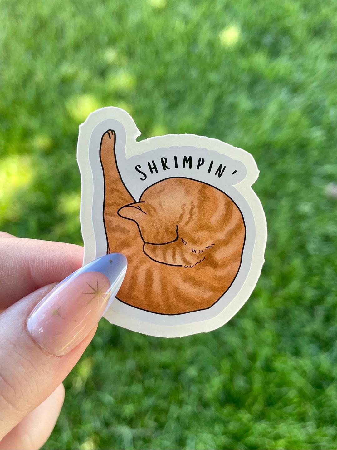 Custom Cat Sticker, “shrimpin” Cat Shrimping Waterproof Vinyl Sticker ...