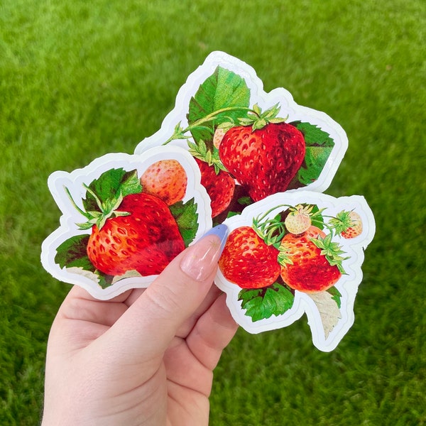 Strawberry Vinyl Sticker - Etsy