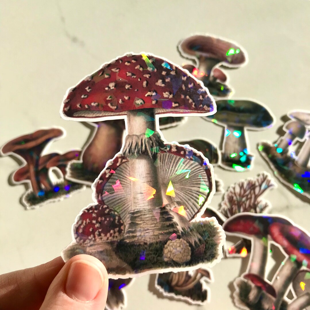 Holographic Mushroom Sticker Pack, Waterproof Vinyl Stickers ...