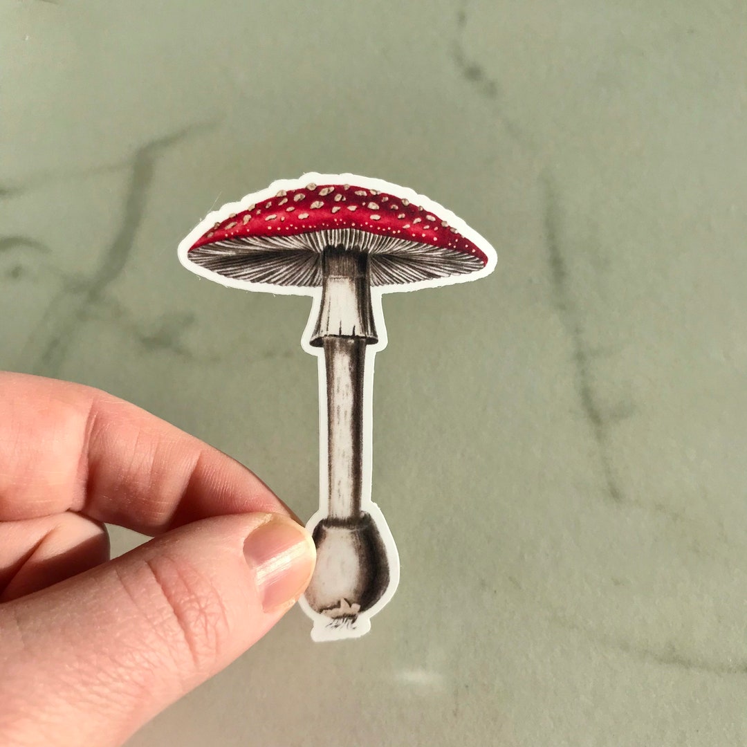 Spotted Mushroom Sticker, Waterproof Vinyl Sticker, Cottagecore Sticker ...