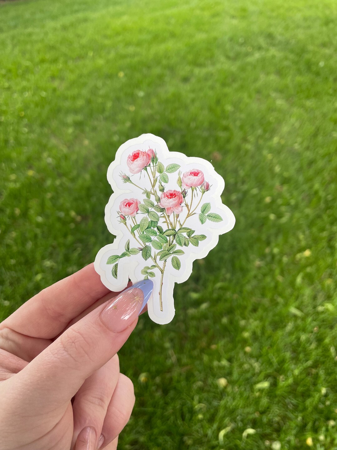 Pink Roses Sticker, Waterproof Vinyl Sticker, Flower Sticker - Etsy
