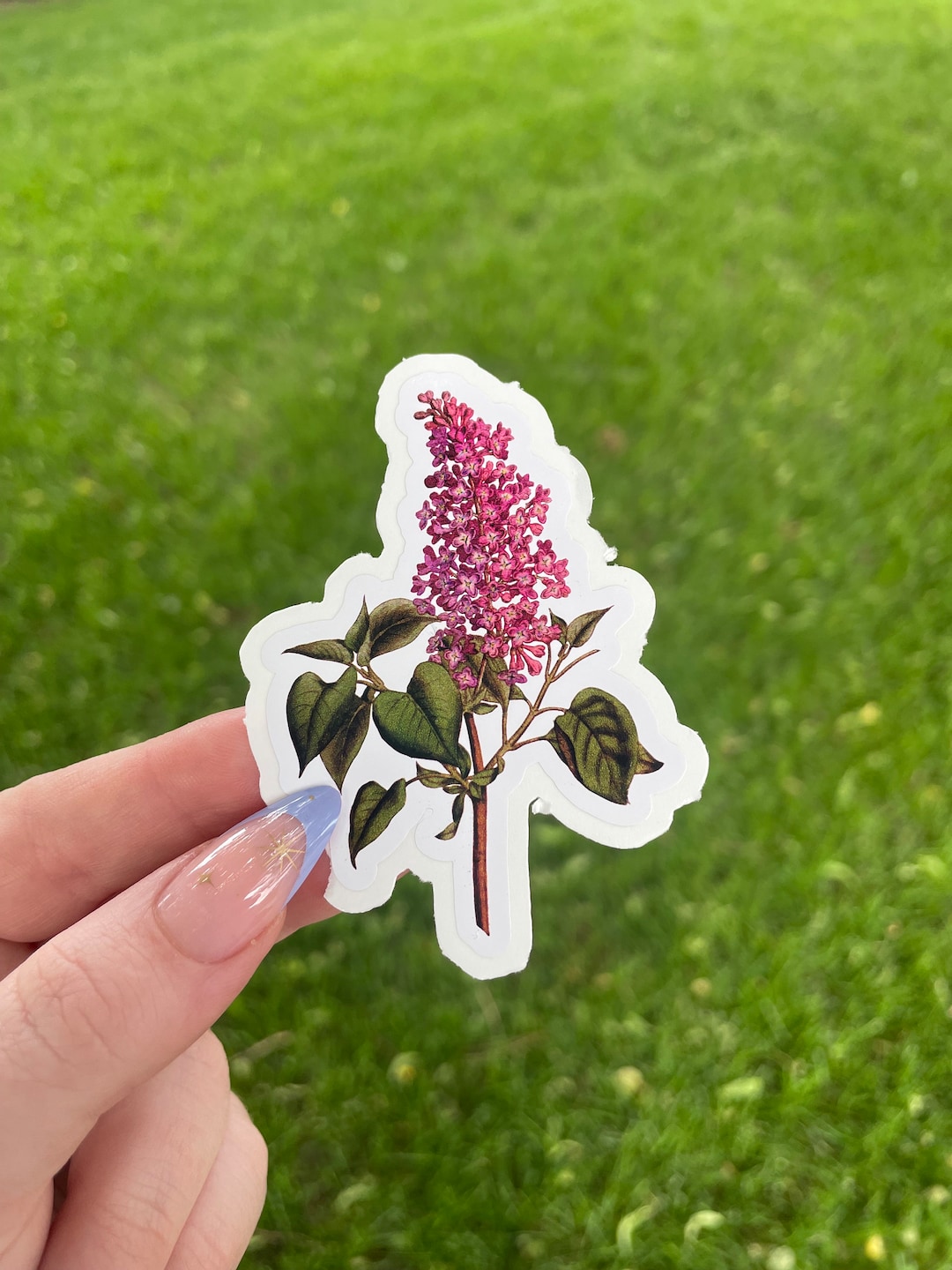 Vintage Lilac Sticker, Waterproof Vinyl Sticker, Flower Sticker - Etsy