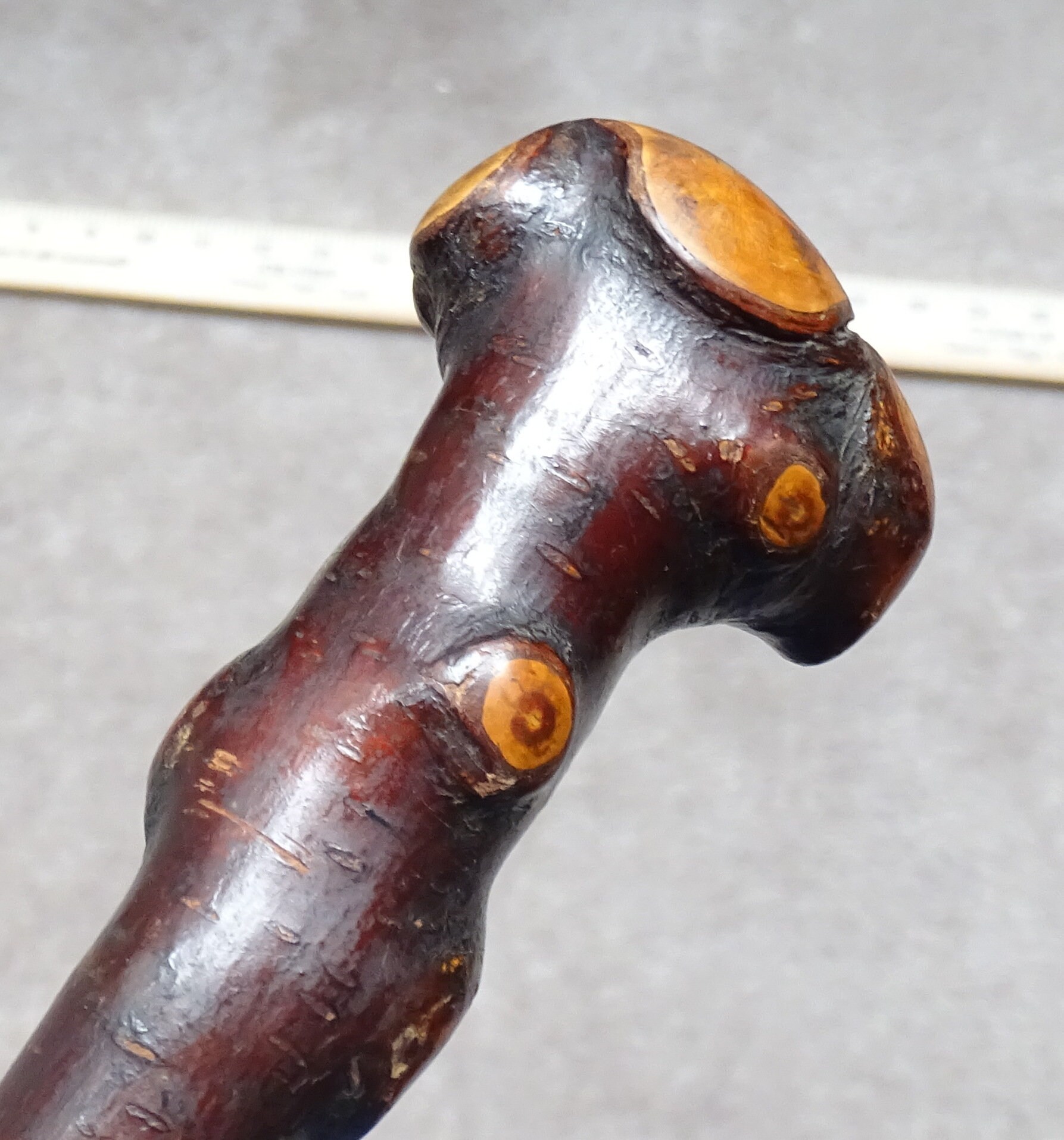 Unique Walking Stick Engraved Trim Silver Fish Lobster - Etsy