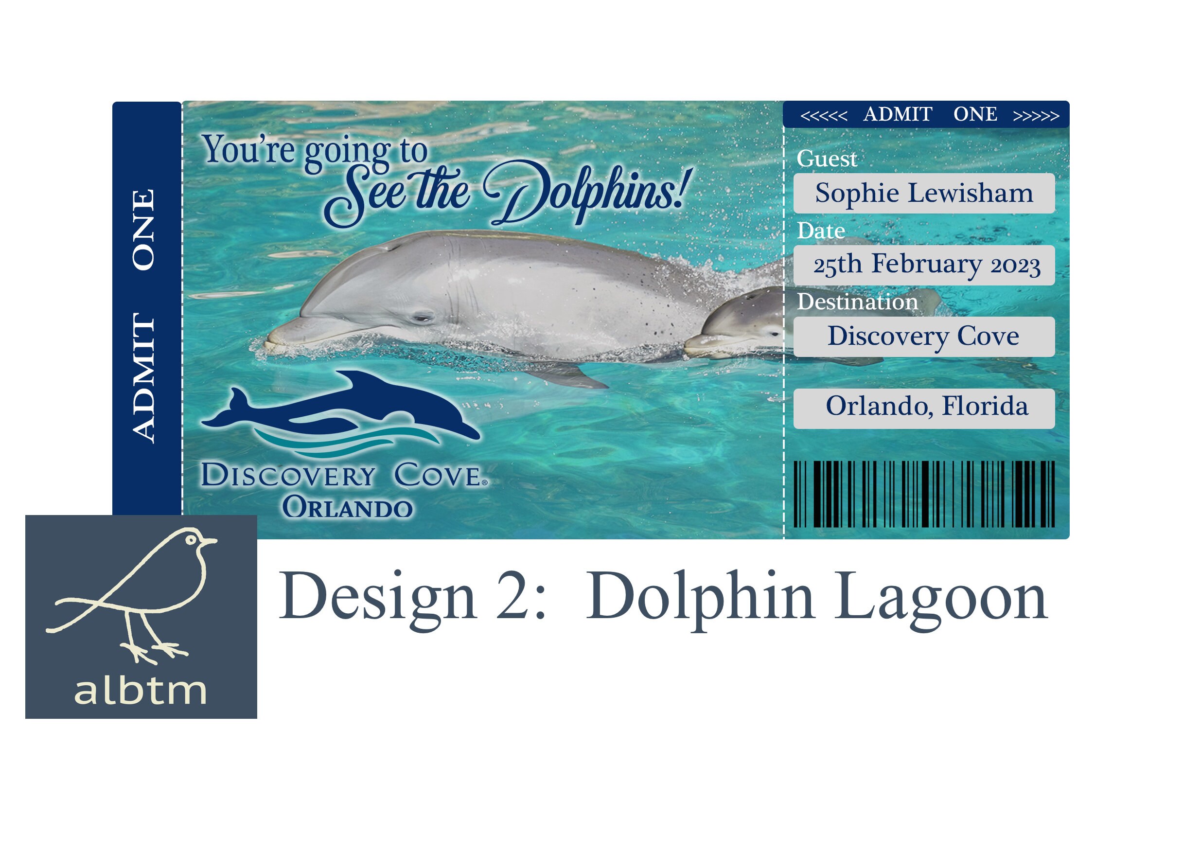 Personalised Discovery Cove Reveal Ticket | Surprise Dolphin Swim ...