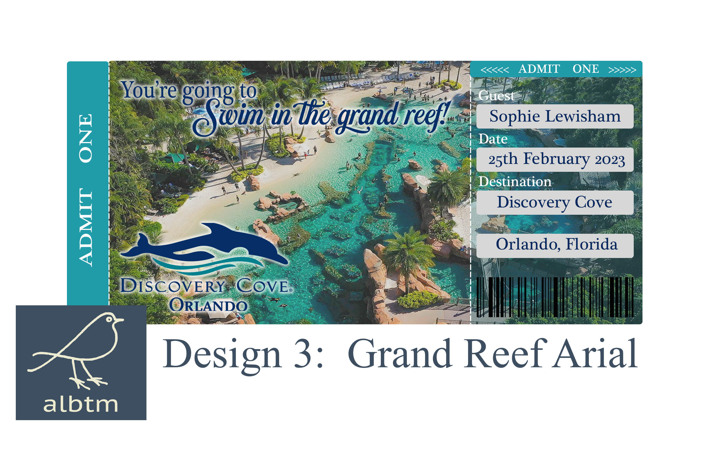 Personalised Discovery Cove Reveal Ticket | Surprise Dolphin Swim ...