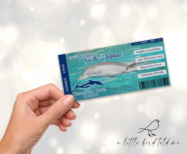 Personalised Discovery Cove Reveal Ticket | Surprise Dolphin Swim ...