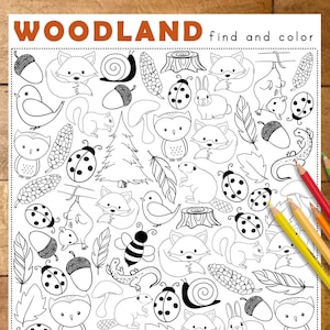 Find and Color Woodland Activity, Printable Coloring Page for Kids ...