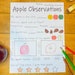 Apple Observations Printable Activity, Preschool Science Lesson ...