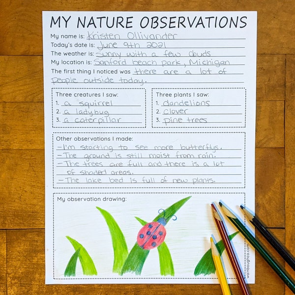 Outdoor Learning Journal - Etsy