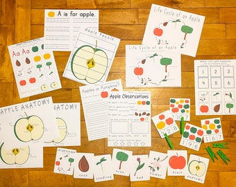 Pumpkin Themed Printable Activity Package Life Cycle and | Etsy