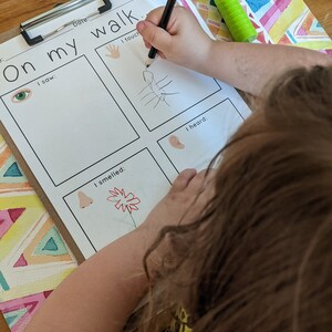 Nature Observations Journal Activity, Printable Teaching Resources ...