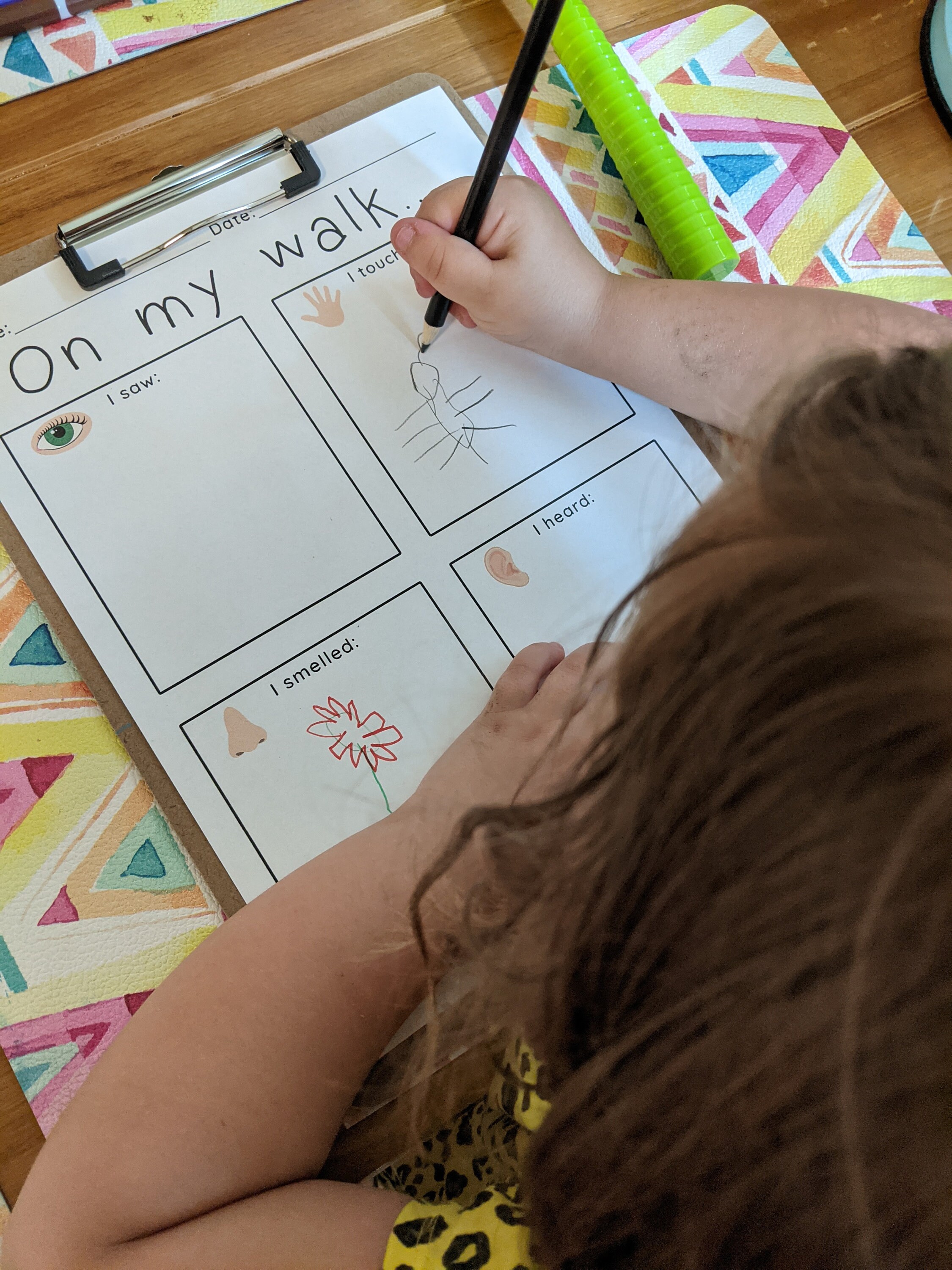 Nature Observations Journal Activity Printable Teaching - Etsy