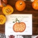 Anatomy of a Pumpkin Printable Poster, Educational Fall Wall Art, Kid ...