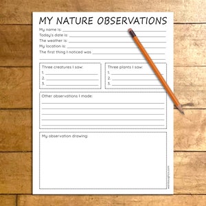 Nature Observations Journal Activity, Printable Teaching Resources ...