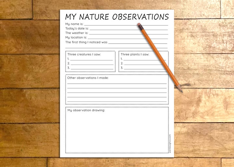 Nature Observations Journal Activity, Printable Teaching Resources ...