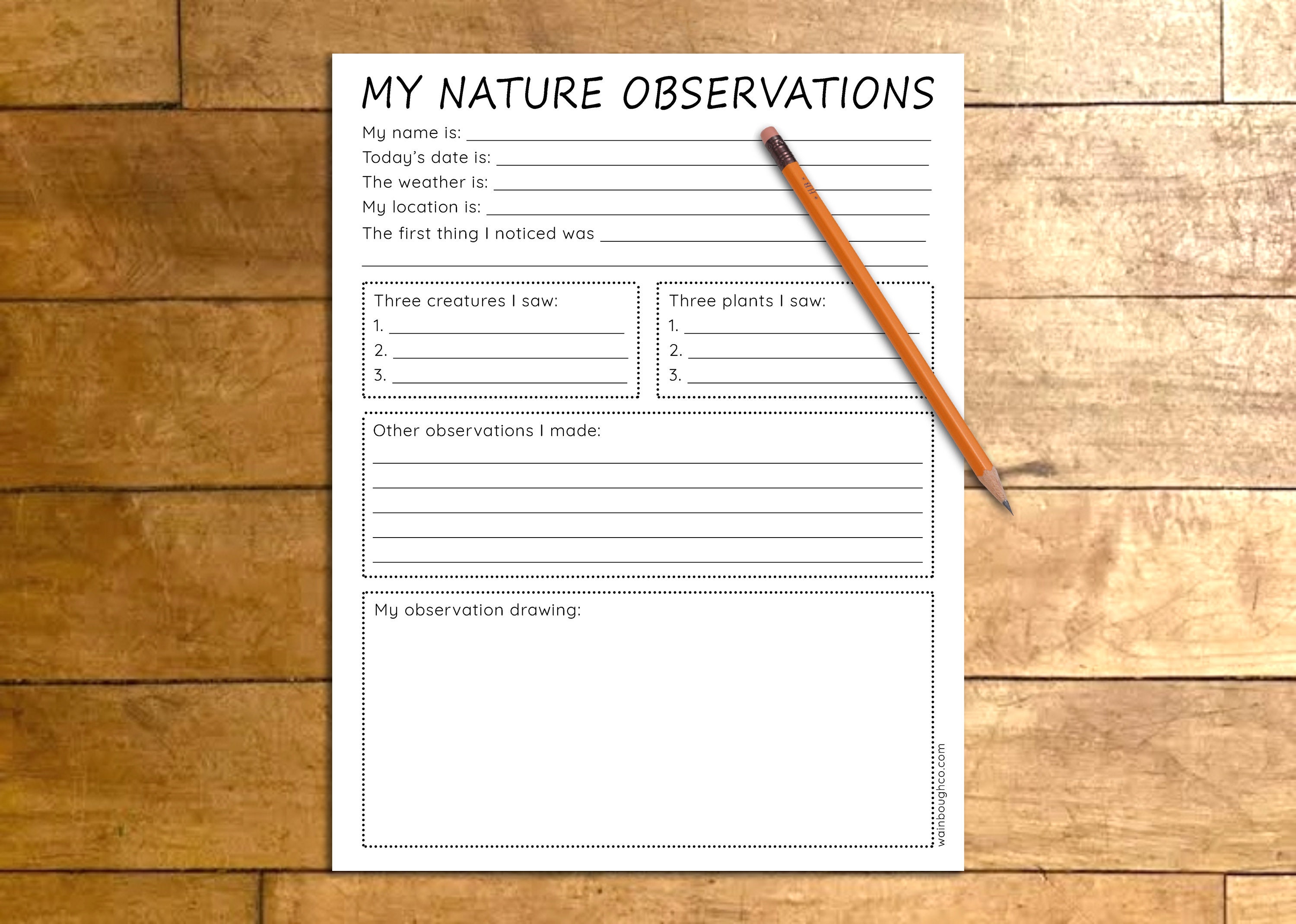 Nature Observations Journal Activity Printable Teaching - Etsy