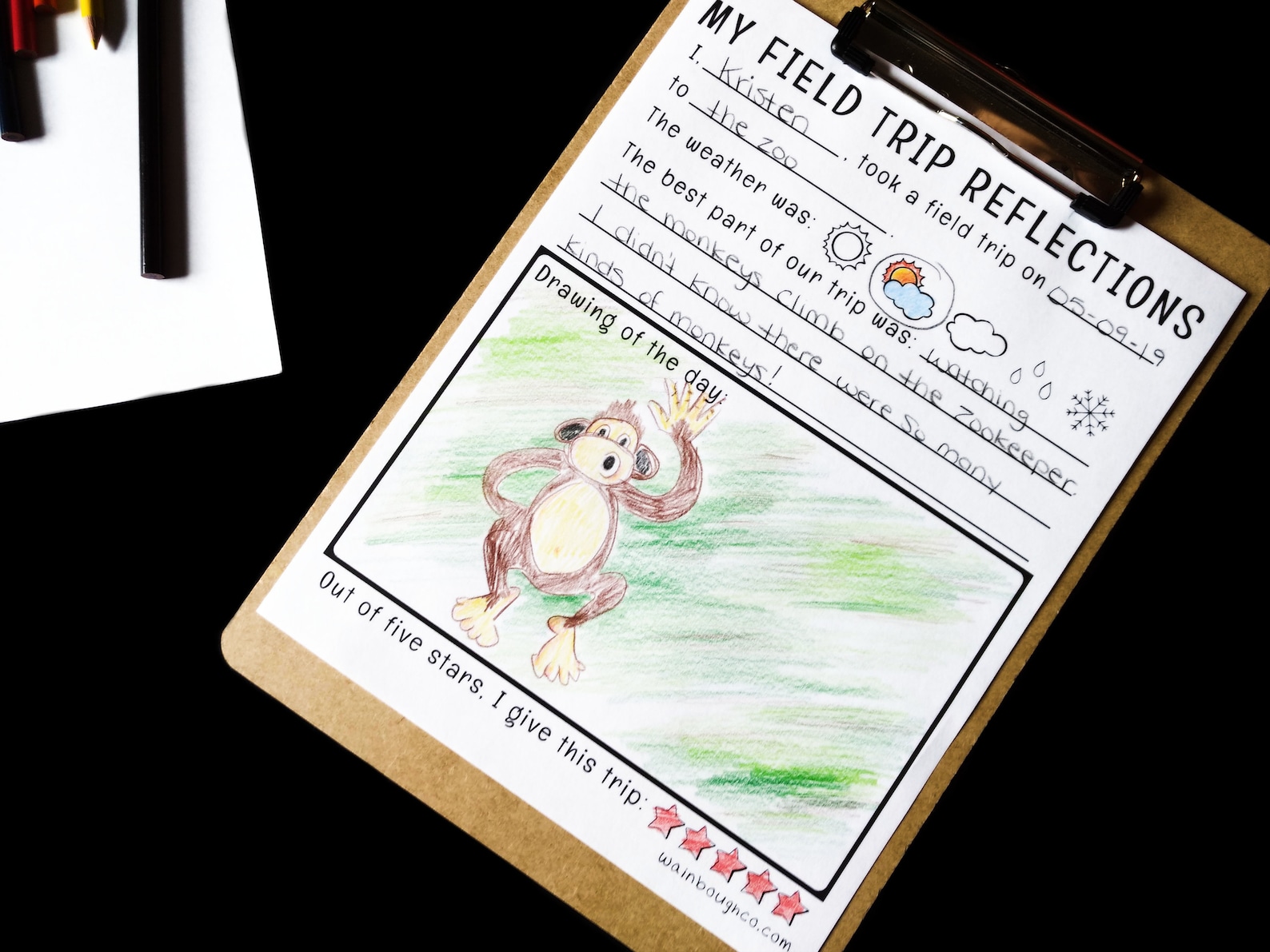 Field Trip Printable Reflections Activity Homeschool Teacher - Etsy Canada