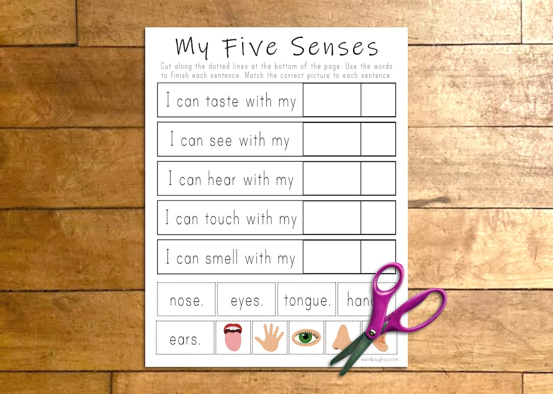 Five Senses Cut and Sort Activity, Printable Science Teaching Resources ...