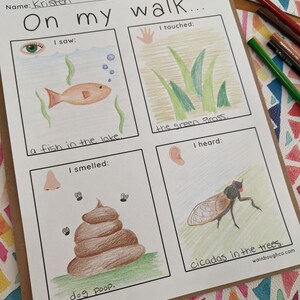 Nature Observations Journal Activity, Printable Teaching Resources ...