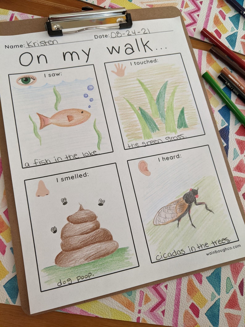 Nature Observations Journal Activity Printable Teaching - Etsy