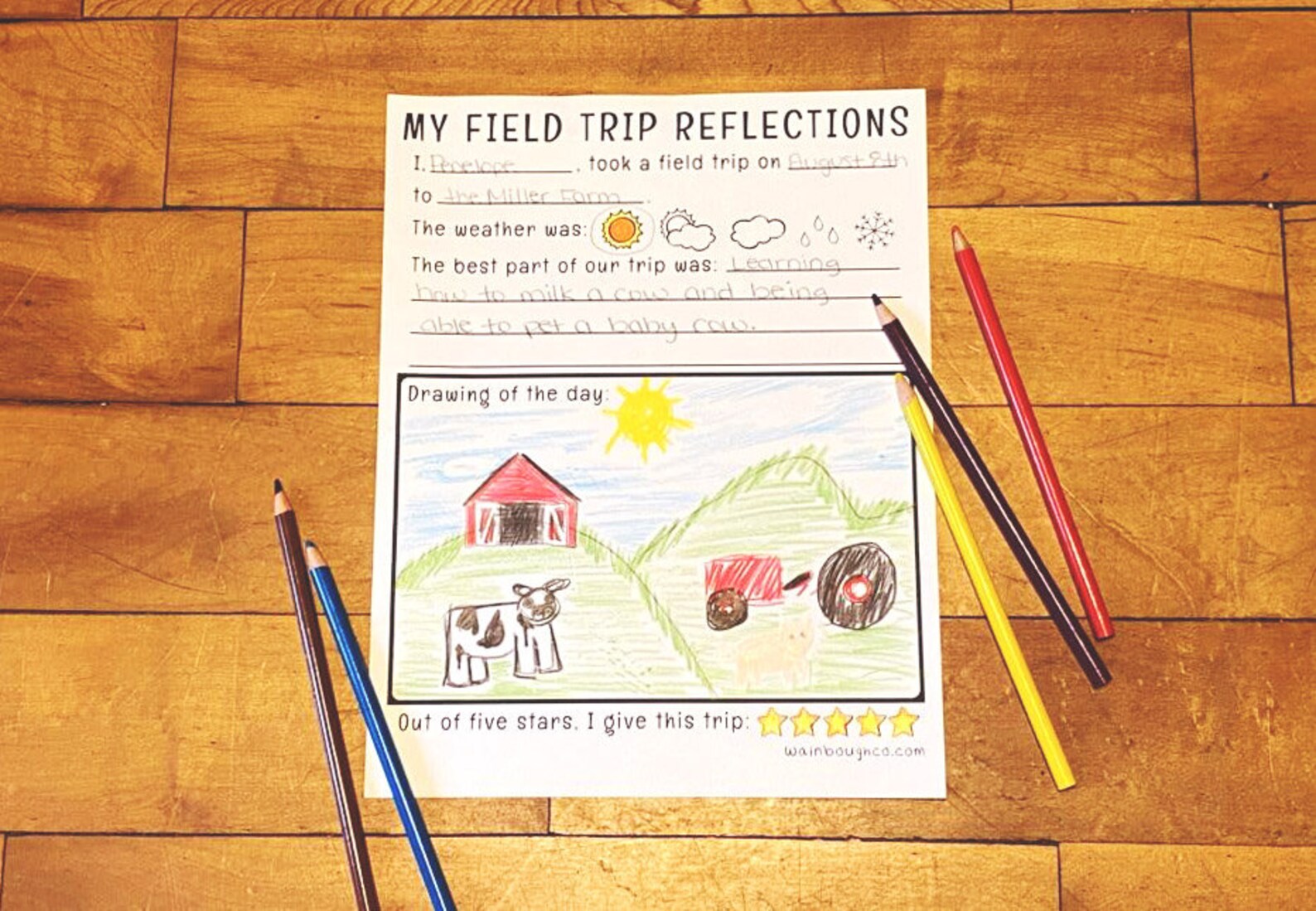 Field Trip Printable Reflections Activity Homeschool Teacher - Etsy