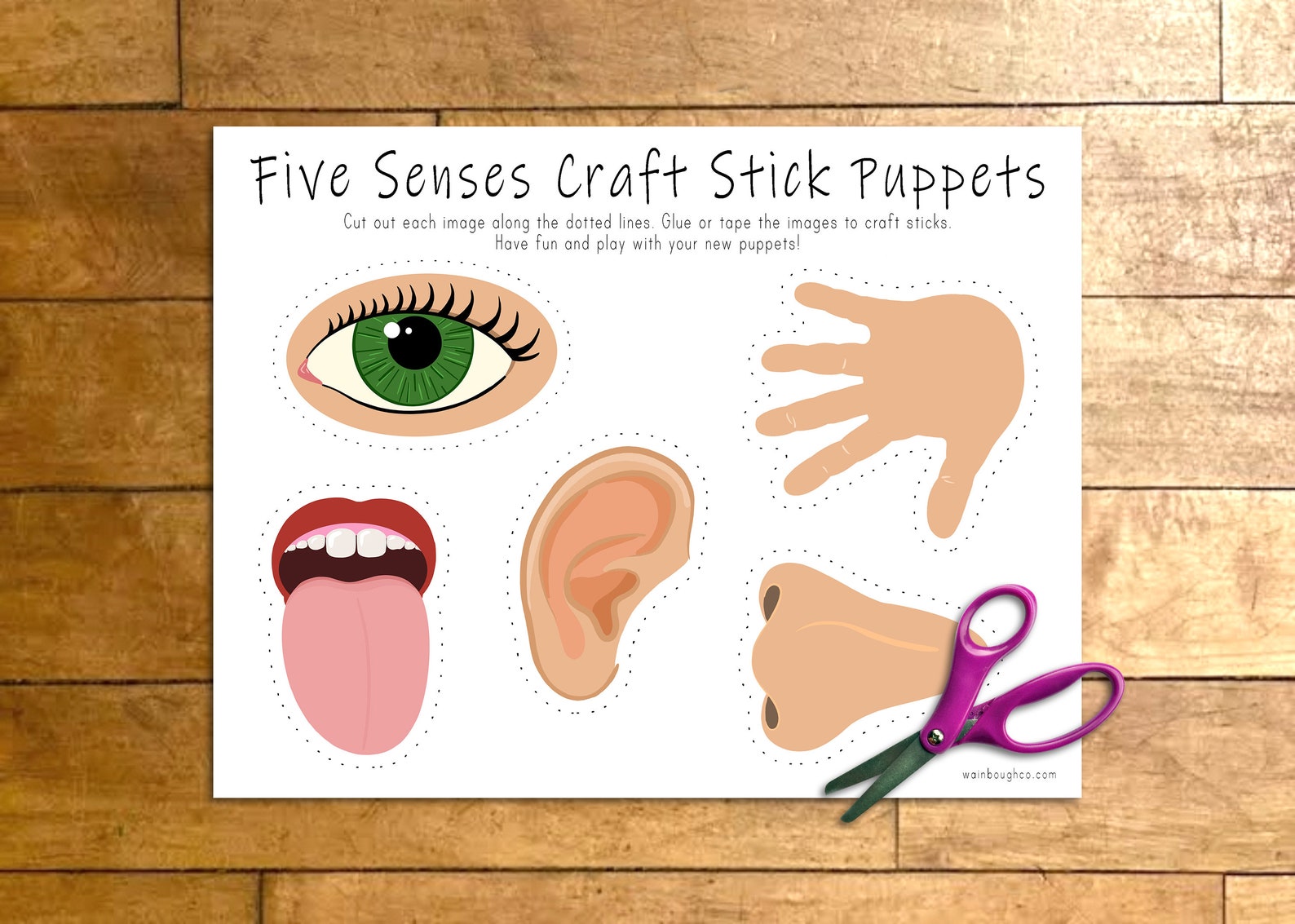 Five Senses Printable Activity Package Senses Unit Study | Etsy