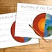 Earth Anatomy Labeling, Printable Earth Layer Activity, Educational ...