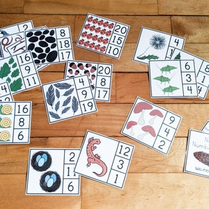Nature Counting Printable Flash Card Game, Clothespin Match Activity ...