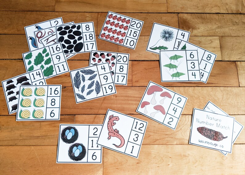 Nature Counting Printable Flash Card Game Clothespin Match | Etsy