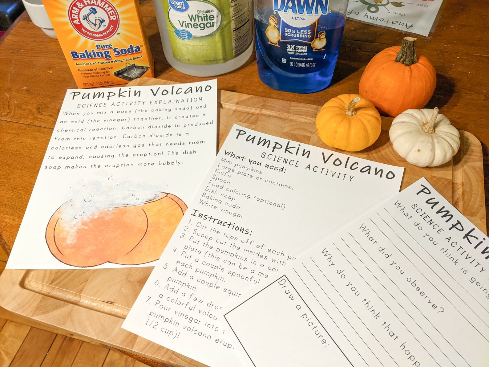 Pumpkin Volcano Science Activity, Printable Fall Homeschool, Autumn ...