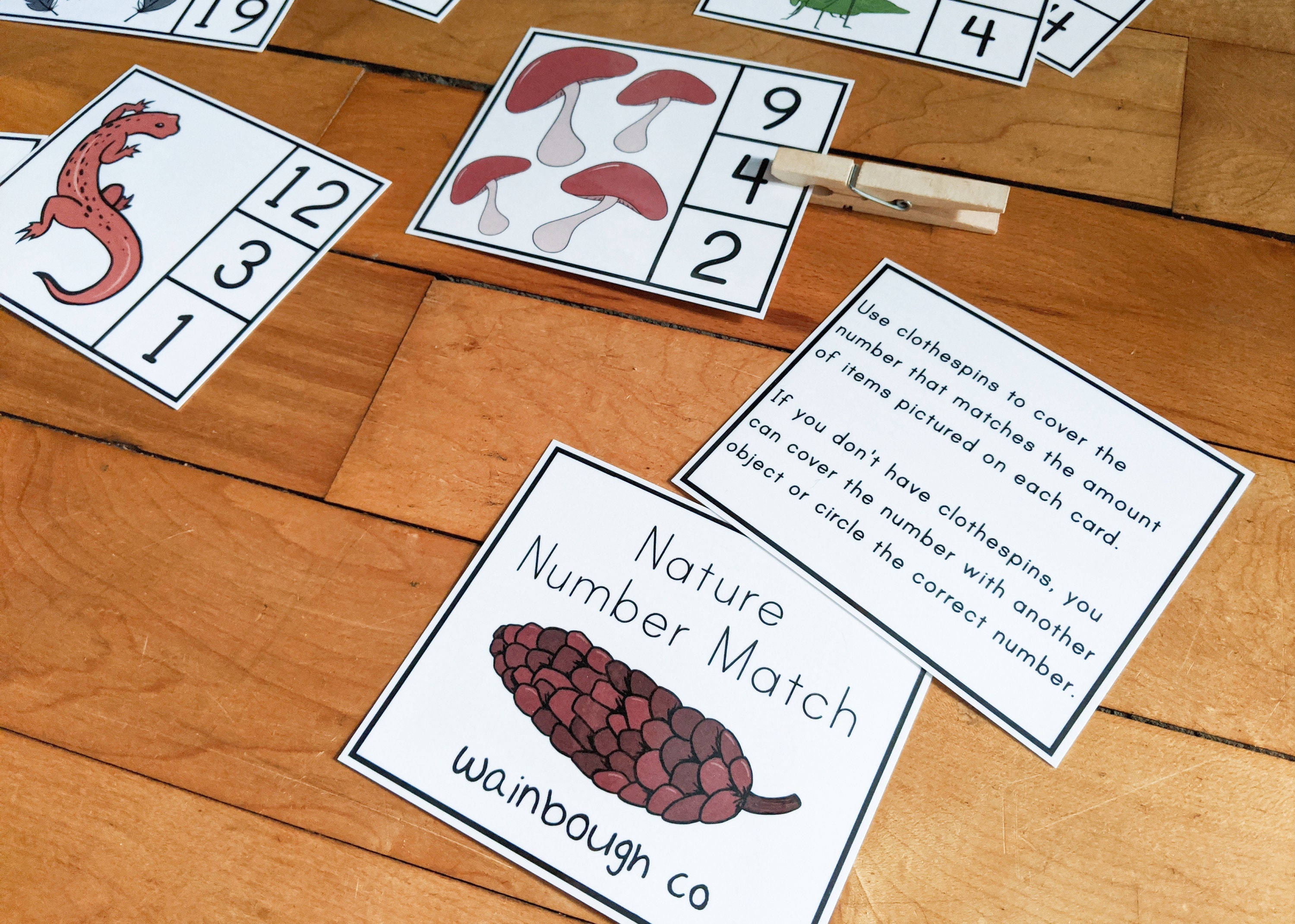 Nature Counting Printable Flash Card Game Clothespin Match - Etsy